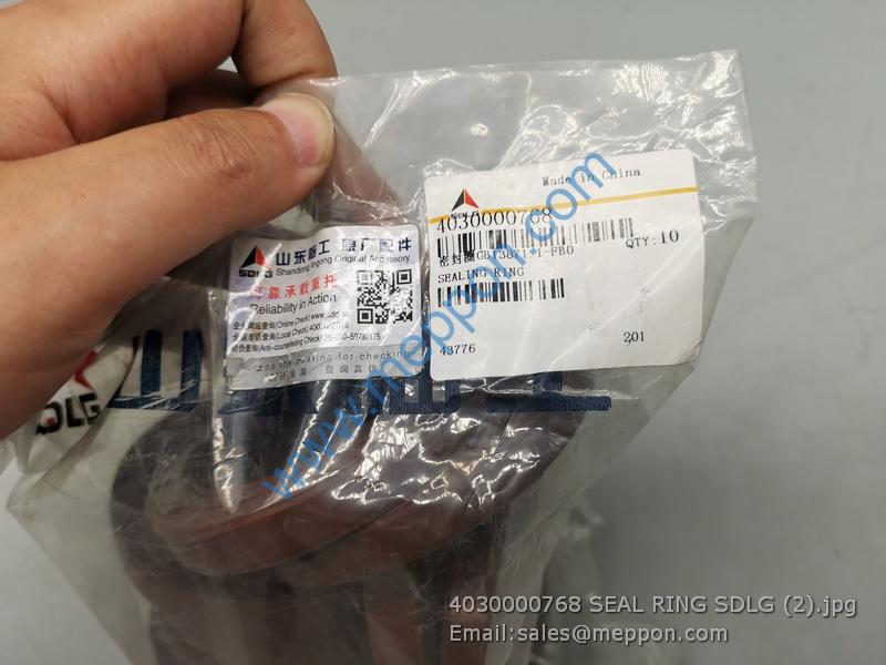 4030000768 SEAL RING SDLG – Meppon Co., Ltd